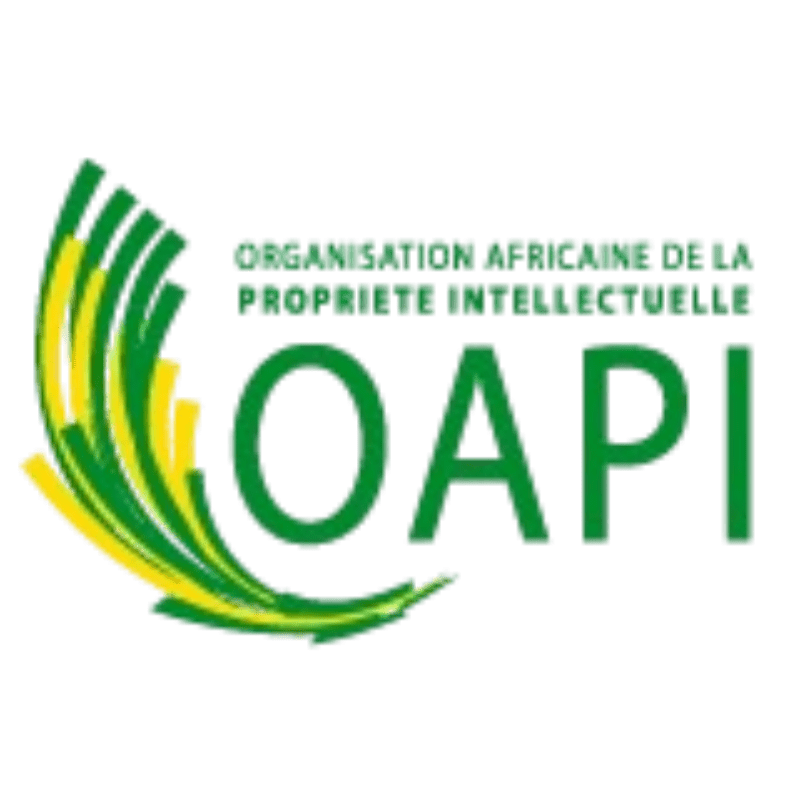 Home - Centre for Development of Intellectual Property and Research | Naovina Development of ...